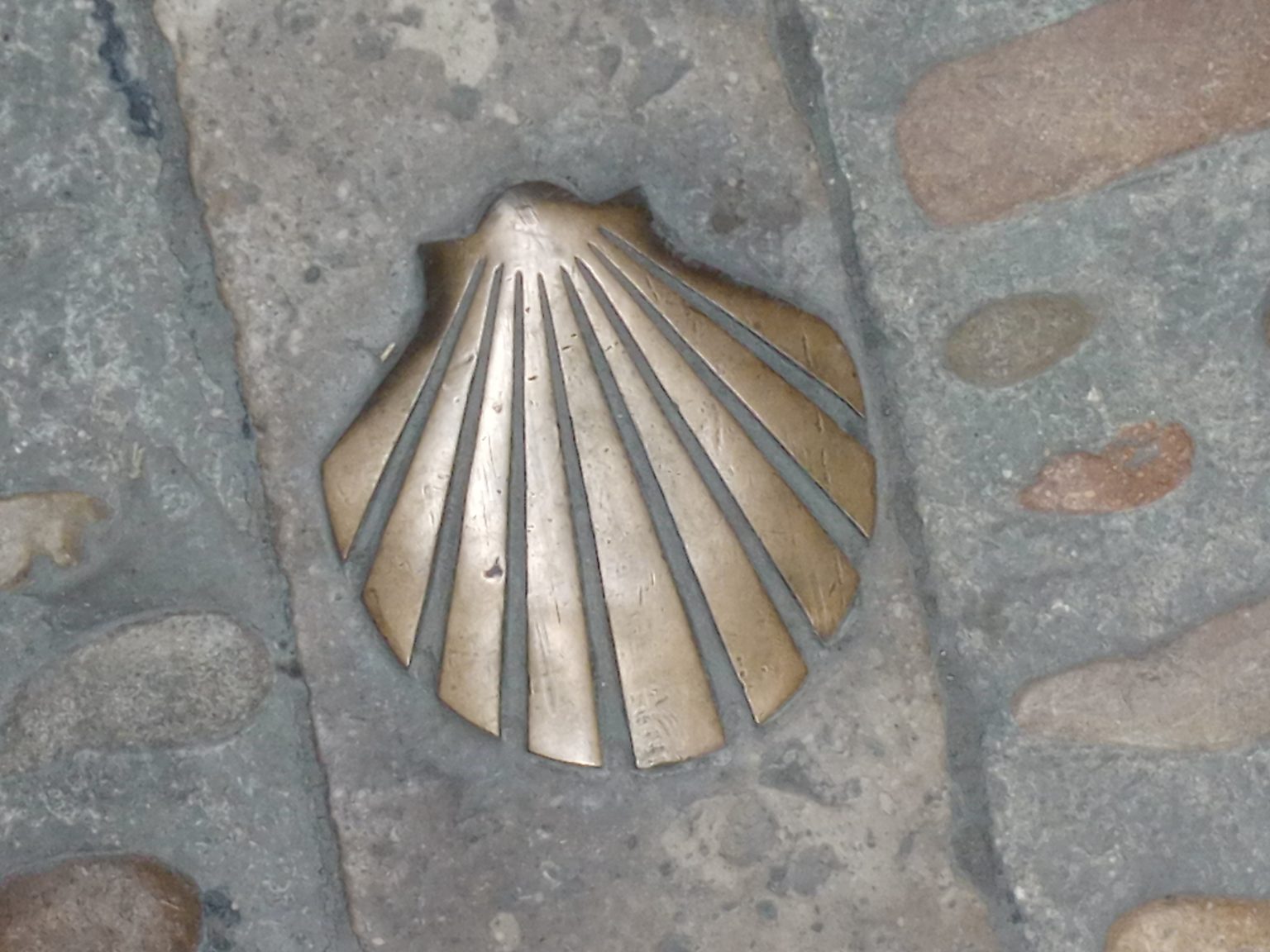 Een Jacobsschelp kopen voor op de camino - Jacobsschelpen